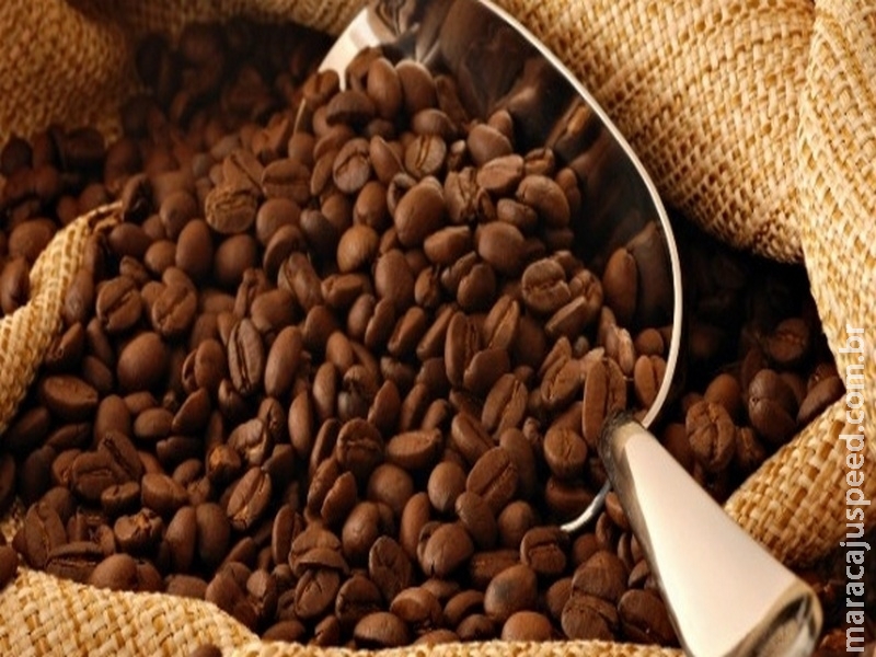 Conab disponibiliza sistema de leilões para compra de café conillon ... Conab disponibiliza sistema de leilões para compra de café conillon ...